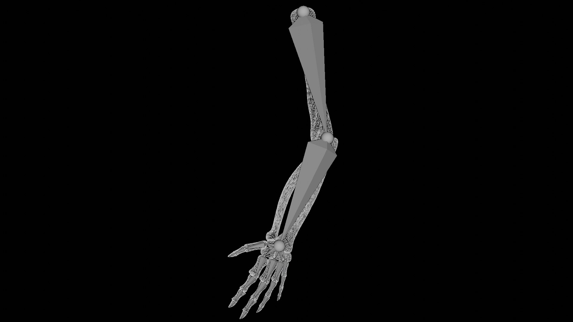 3D Rigged Skeleton Hand Model - TurboSquid 1837489