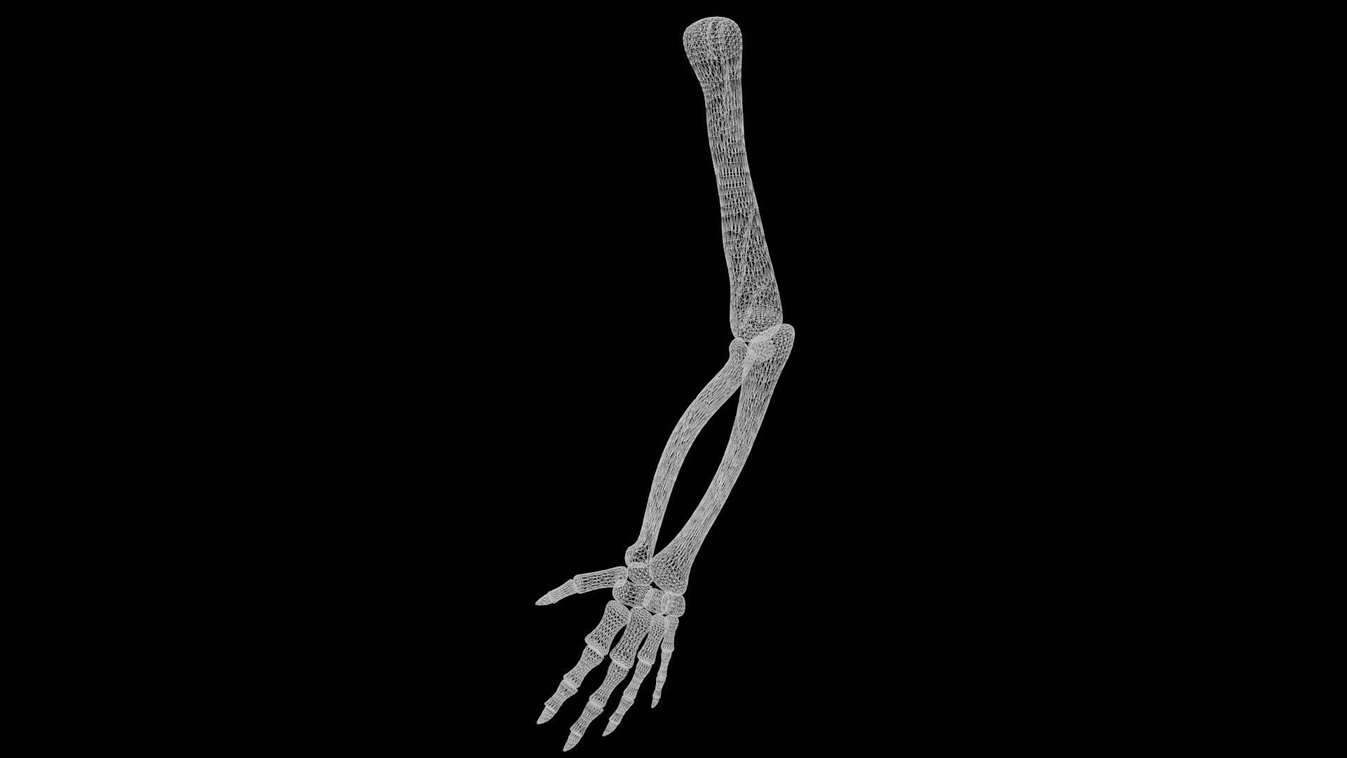 3D Rigged Skeleton Hand Model - TurboSquid 1837489
