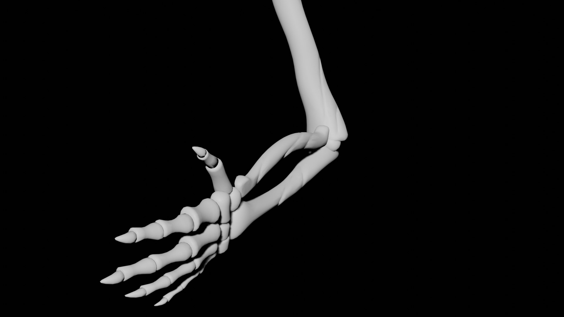 3D Rigged Skeleton Hand Model - TurboSquid 1837489