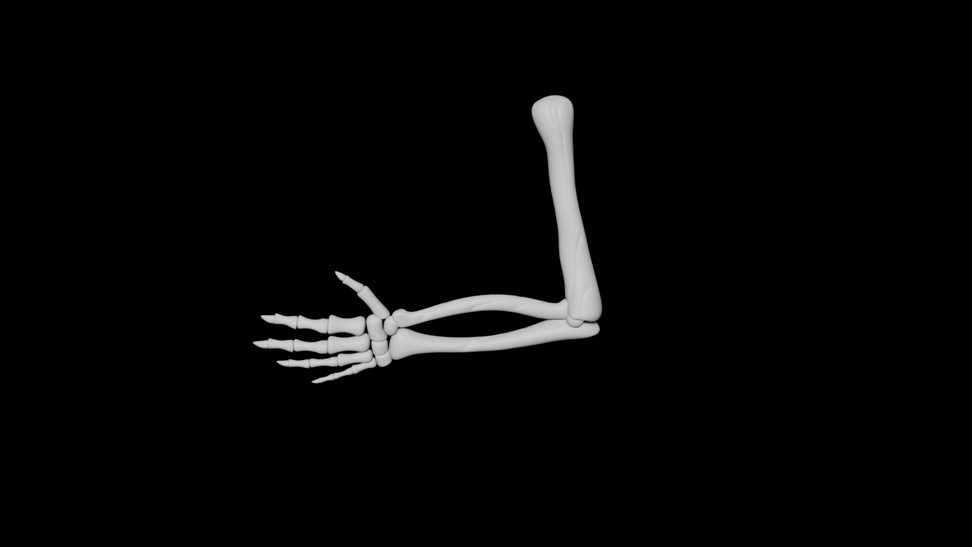 3D Rigged Skeleton Hand Model - TurboSquid 1837489