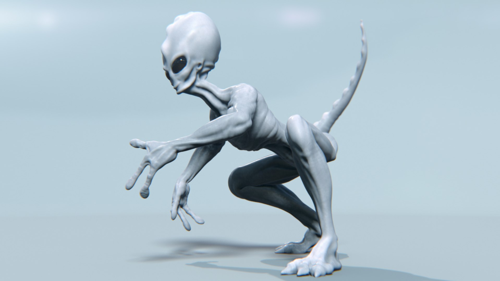 3d Model - Rigged