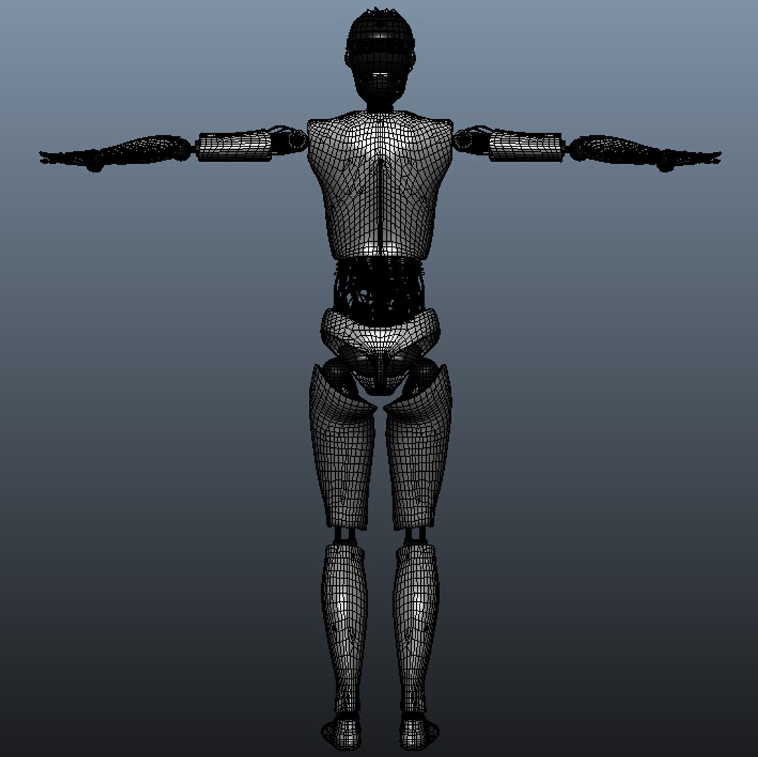 3d Model Robot Skeleton