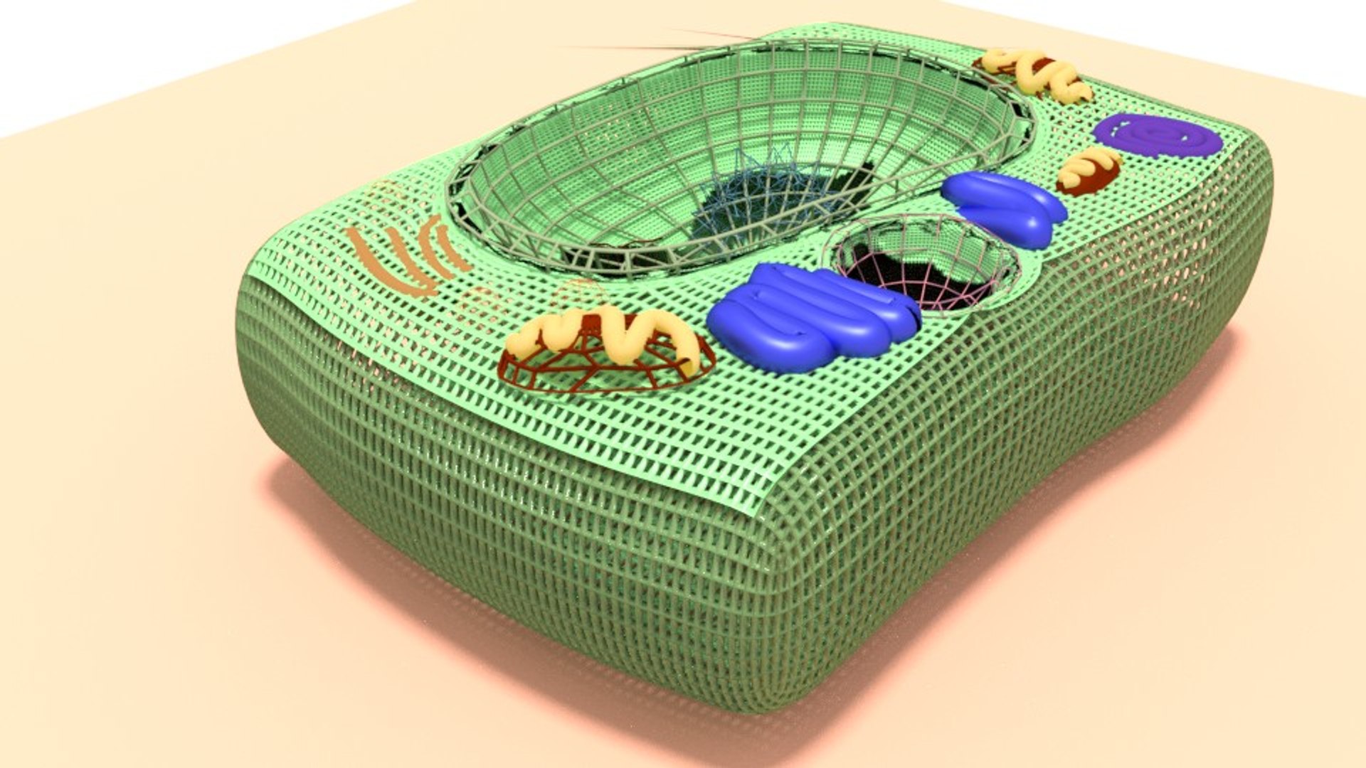 3D Plant Cell - TurboSquid 1403476