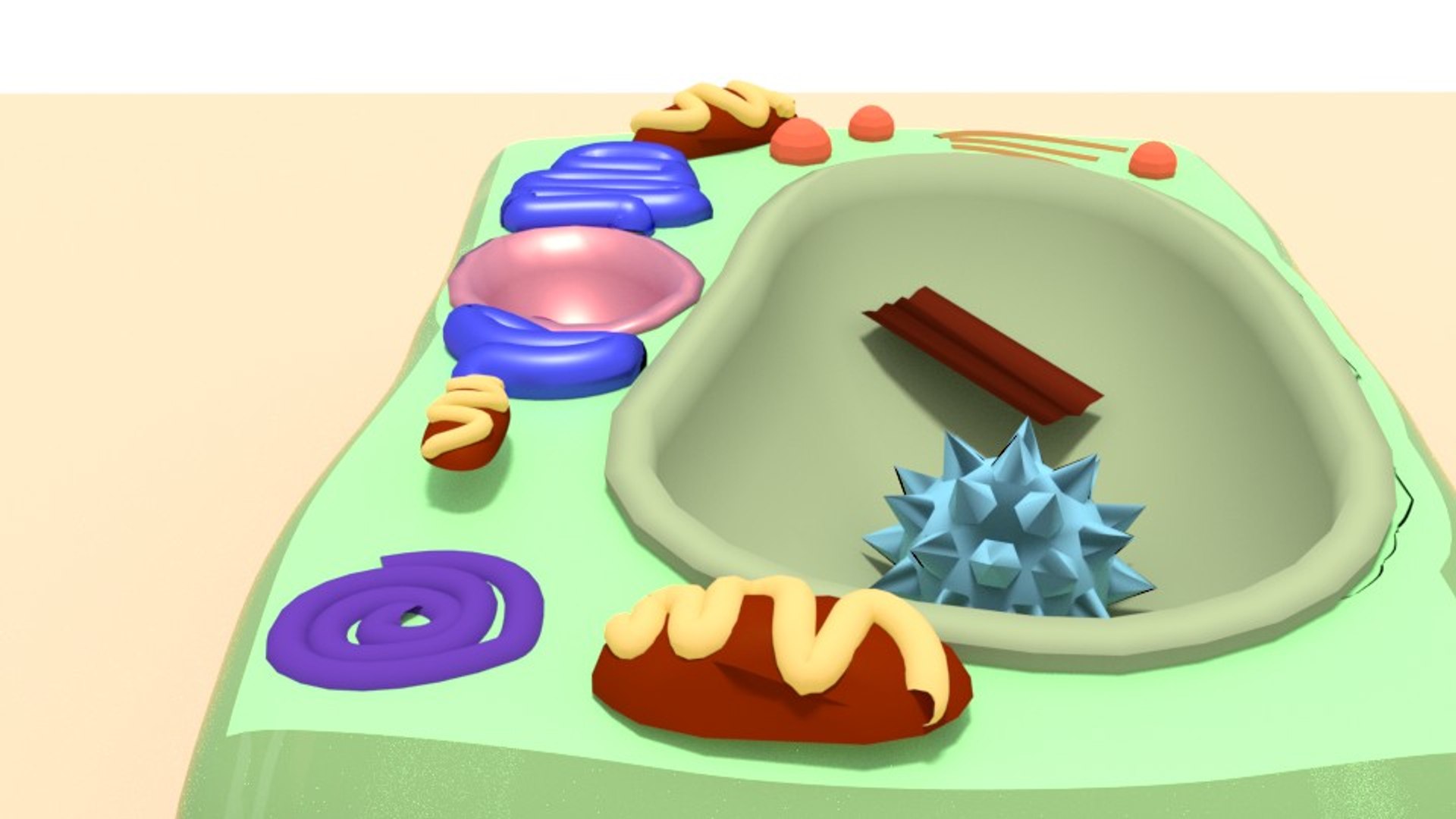 3D Plant Cell - TurboSquid 1403476