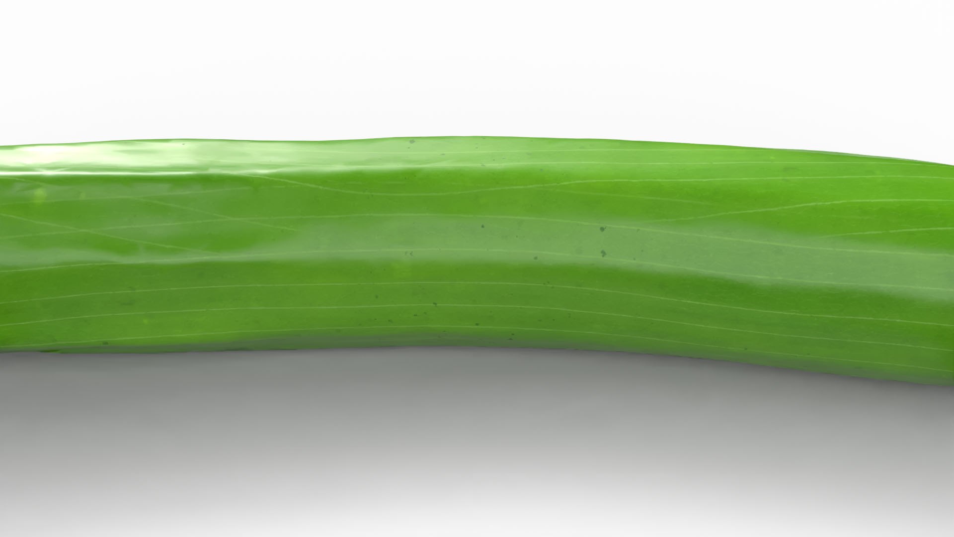 3D Realistic Cucumber Model - TurboSquid 2419287