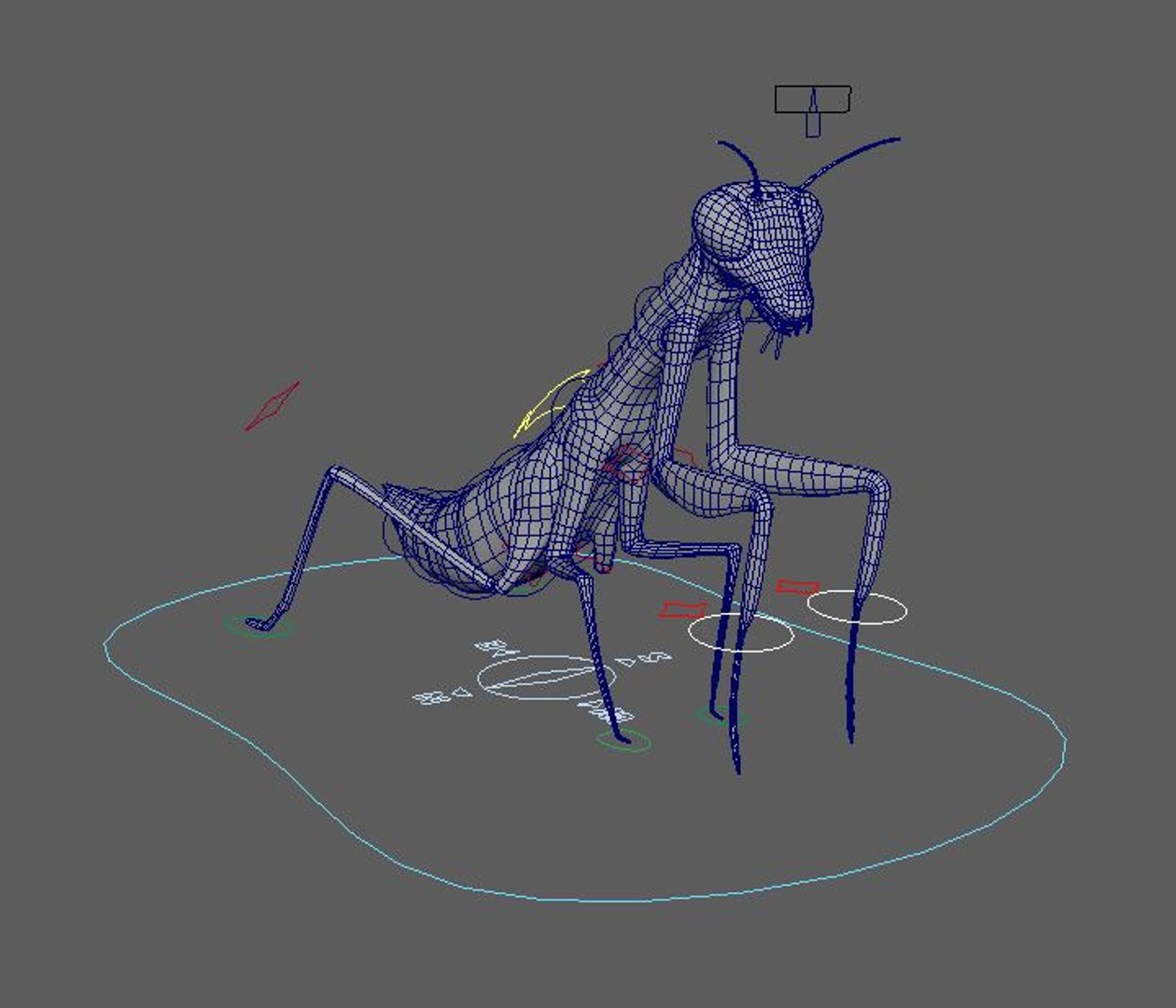 Mantis 3D model - TurboSquid 1394878