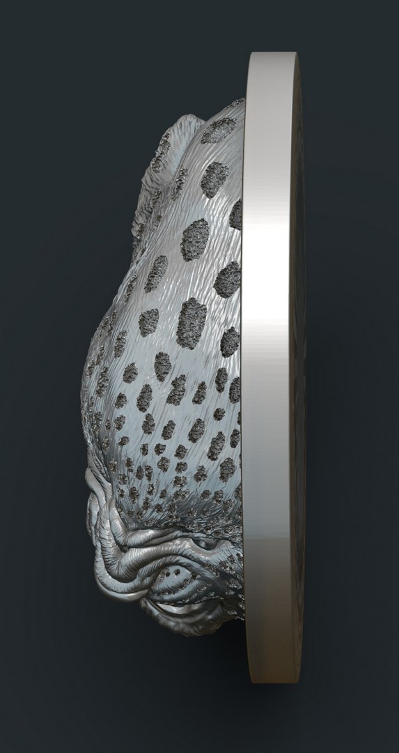 3D Model Leopard Head - TurboSquid 1811432