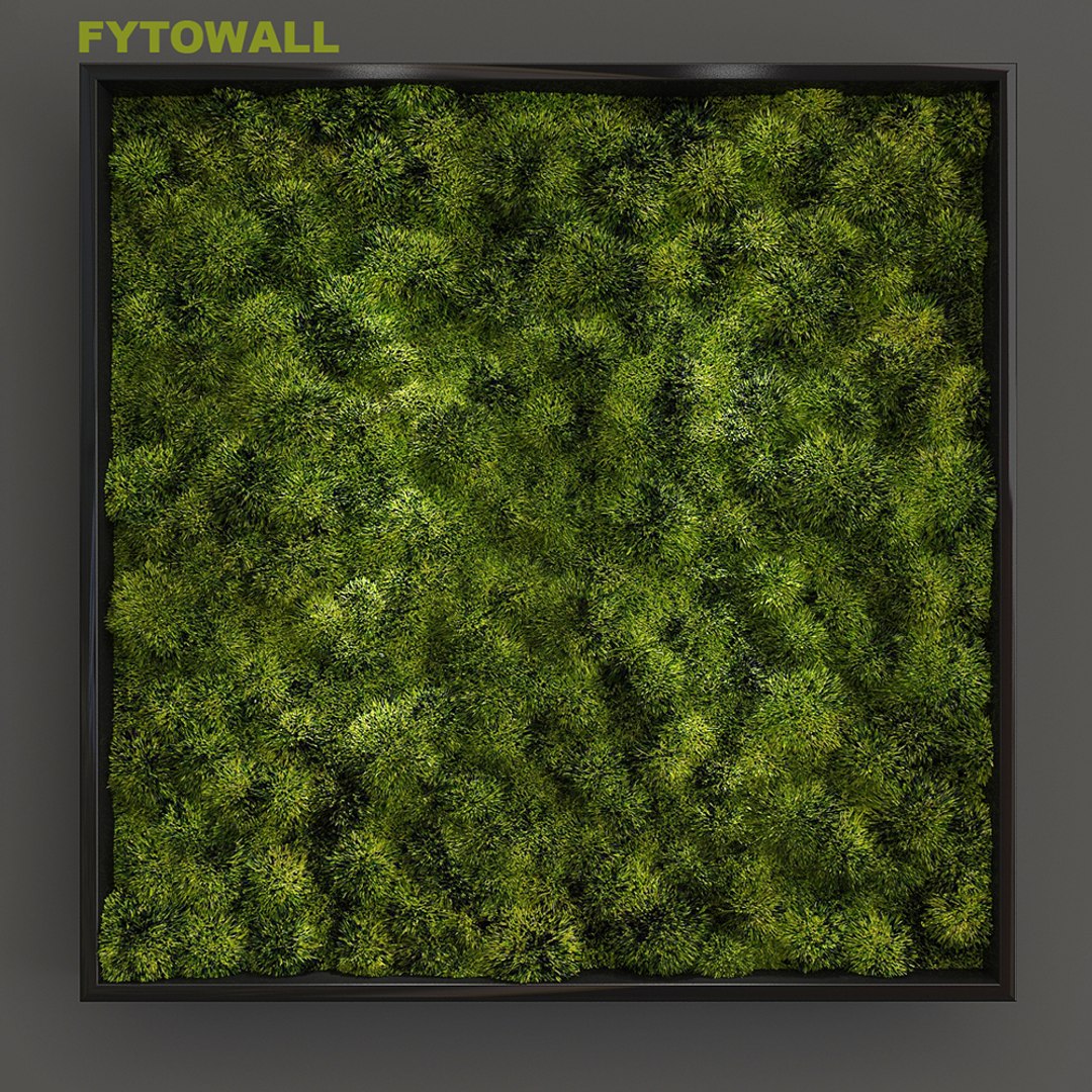 Max Fytowall