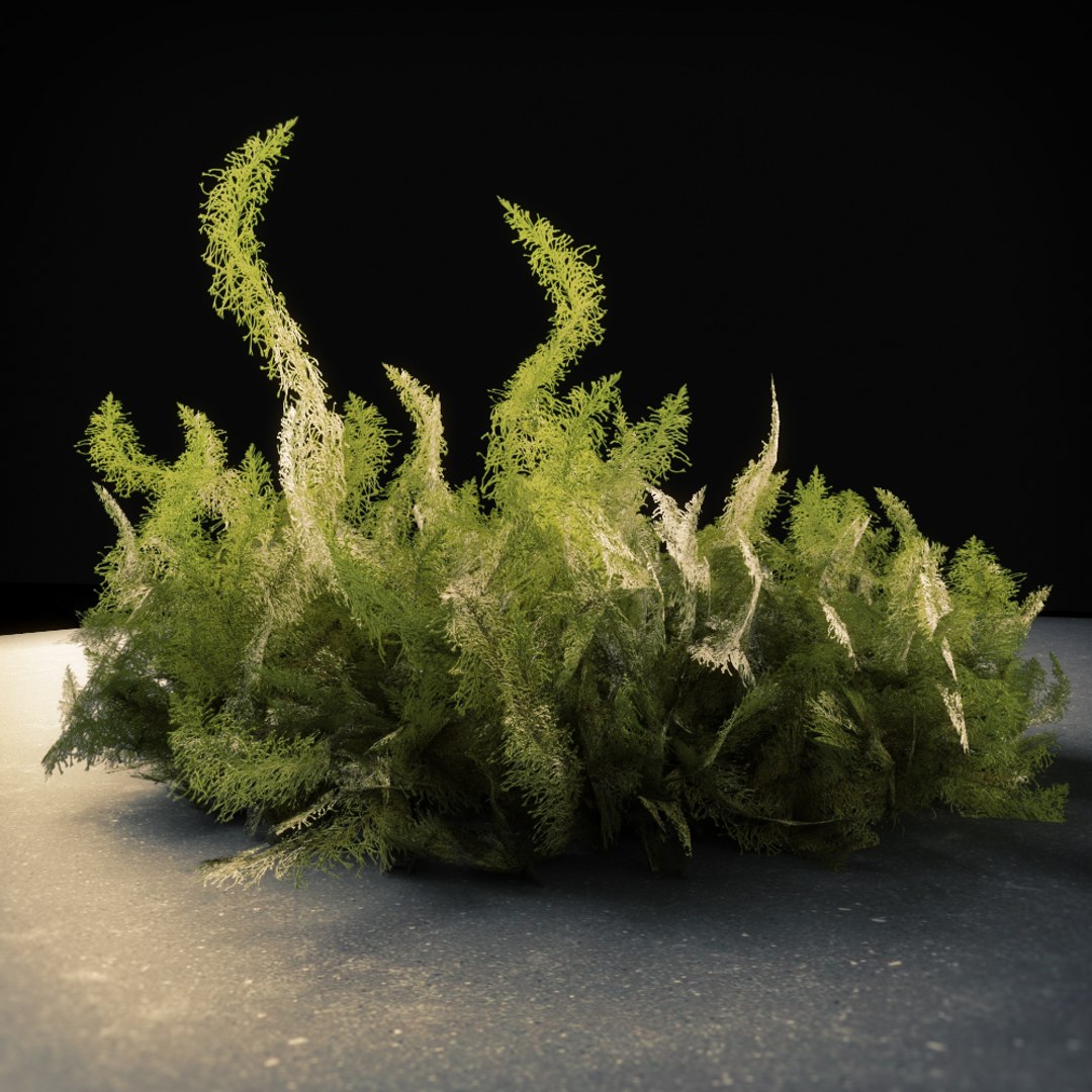 Moss 11 3D Model - TurboSquid 1535012