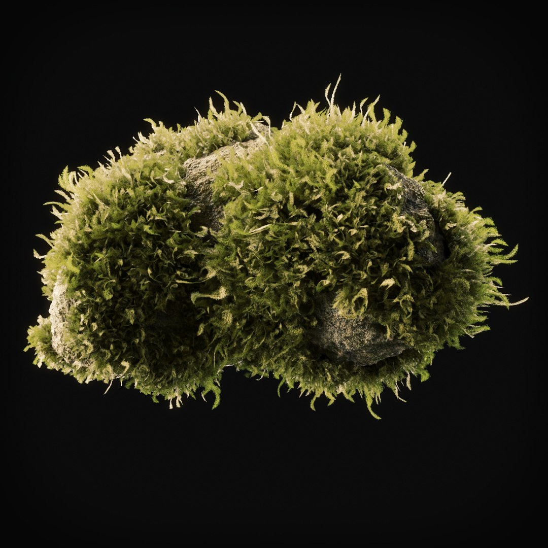 Moss 11 3D Model - TurboSquid 1535012