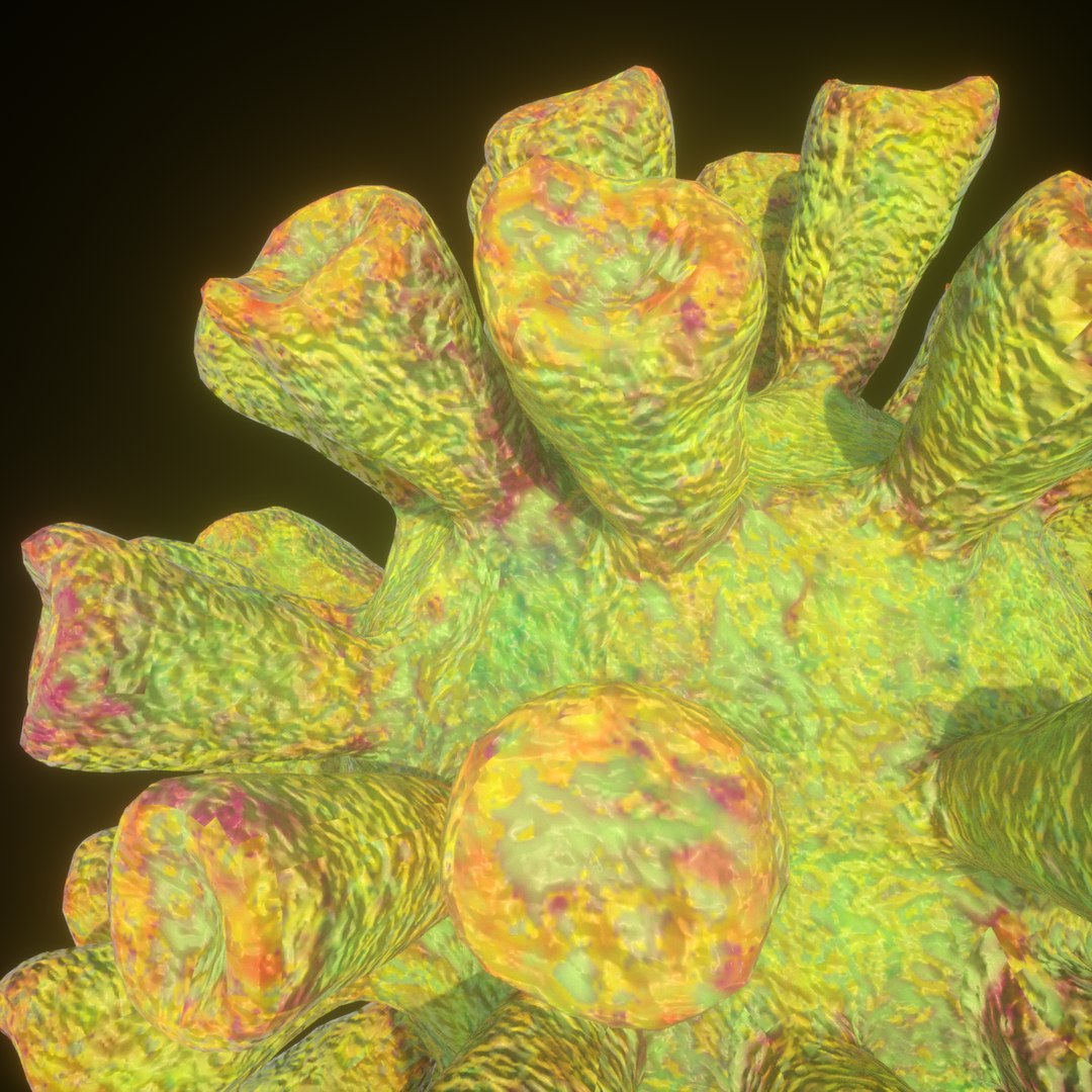 3D virus anatomy science - TurboSquid 1391296