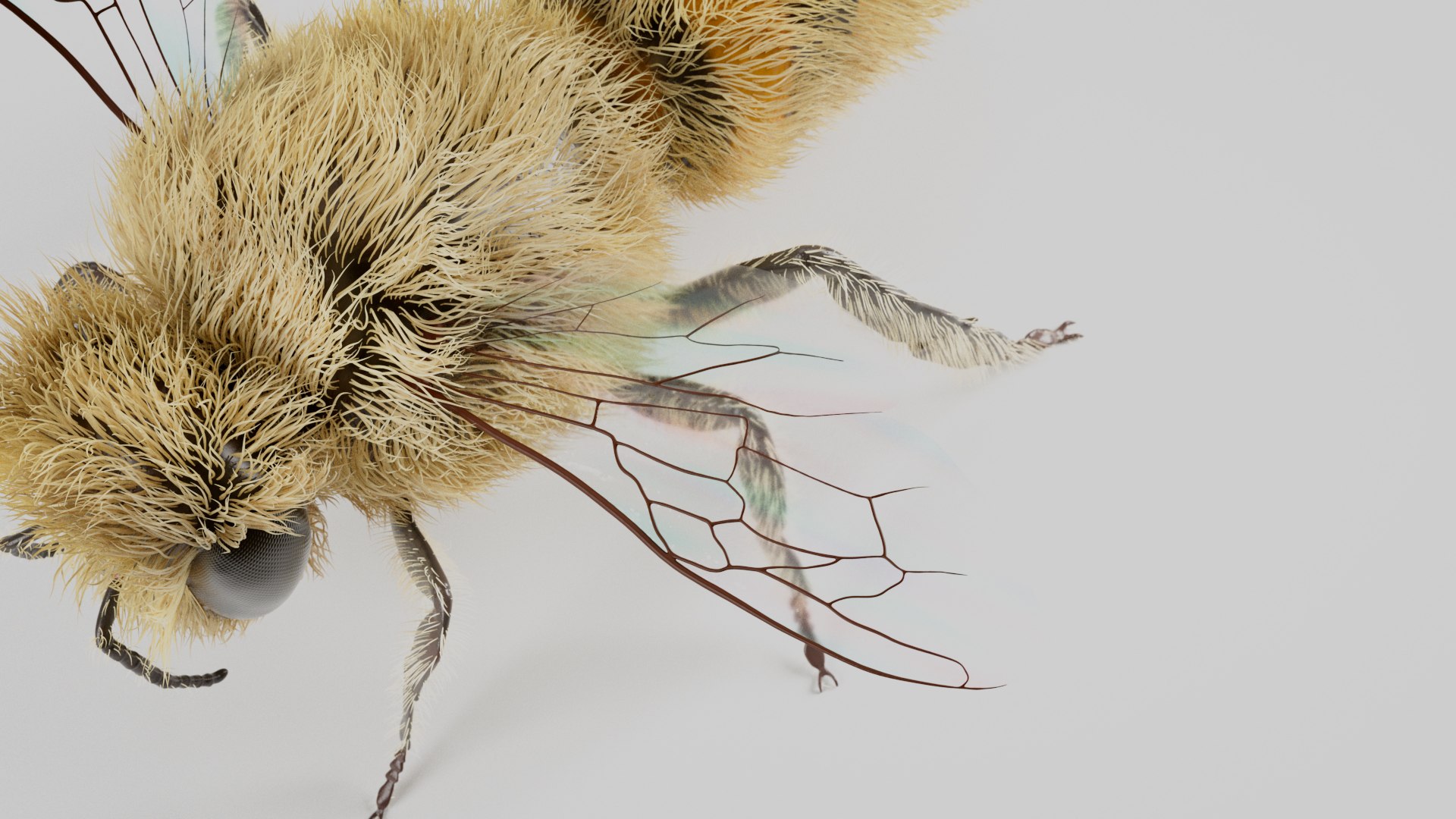 3D Model Realistic Honey Bee - TurboSquid 2081899