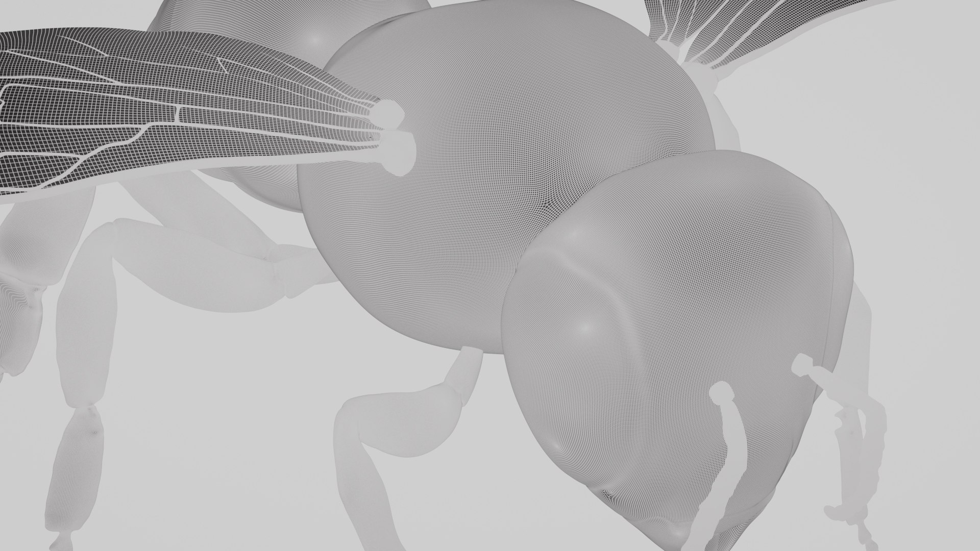 3D Model Realistic Honey Bee - TurboSquid 2081899