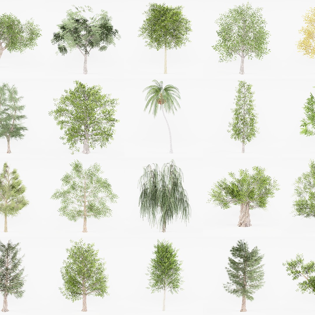 Tree Collection 2 3D - TurboSquid 1971057