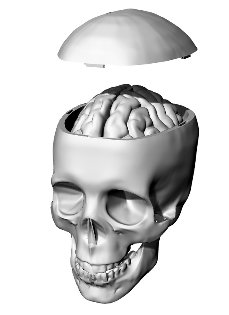Human Skull 3D Print Model 3D Model - TurboSquid 2085837