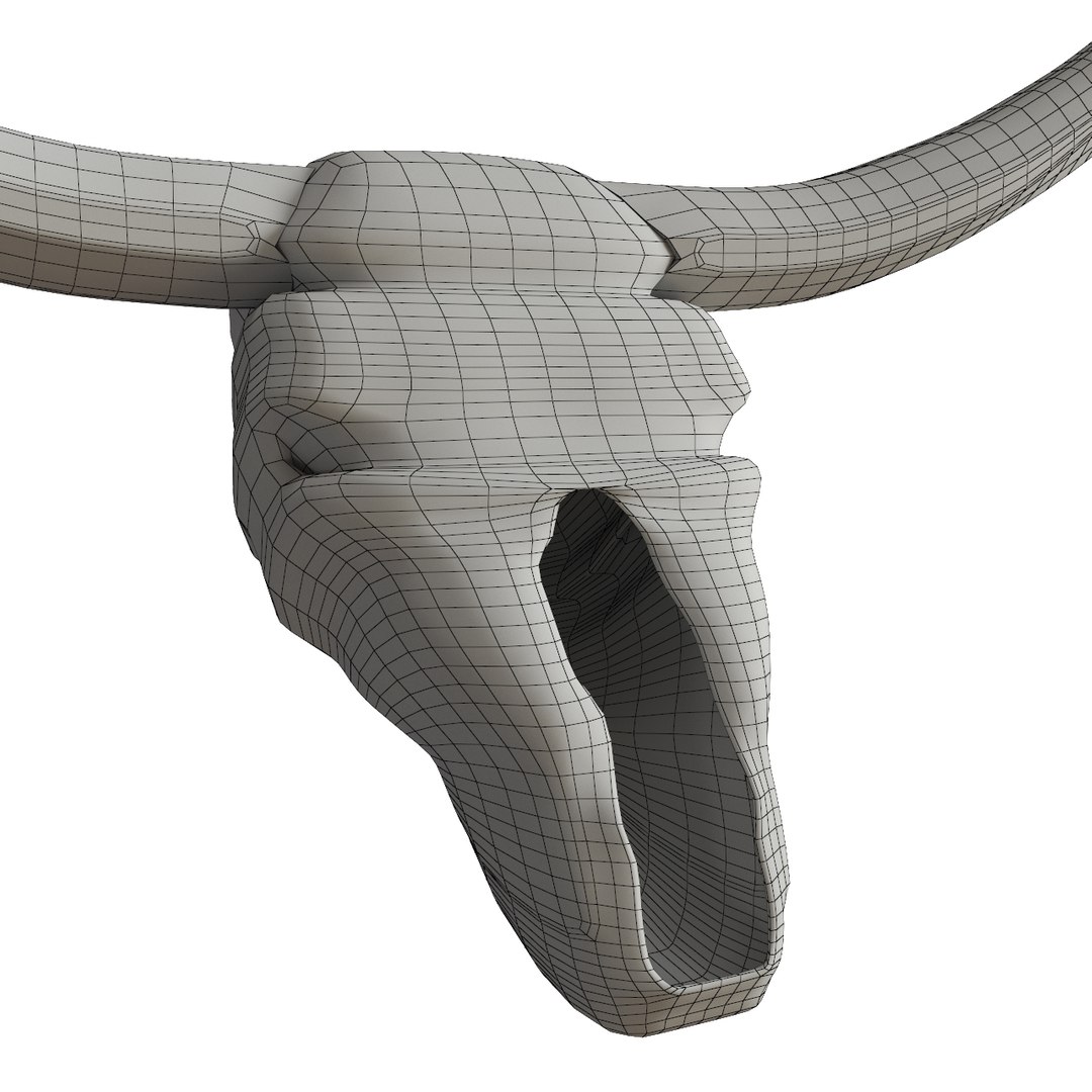 3d Model Buffalo Skull