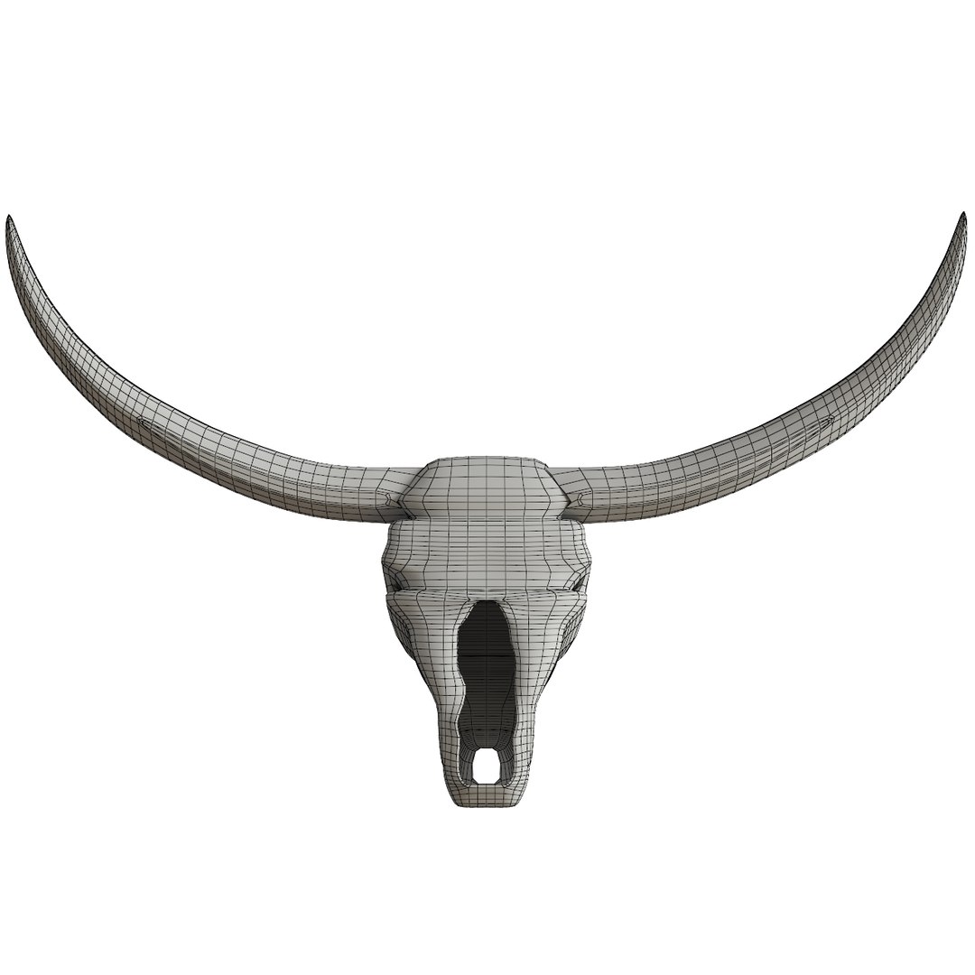 3d Model Buffalo Skull