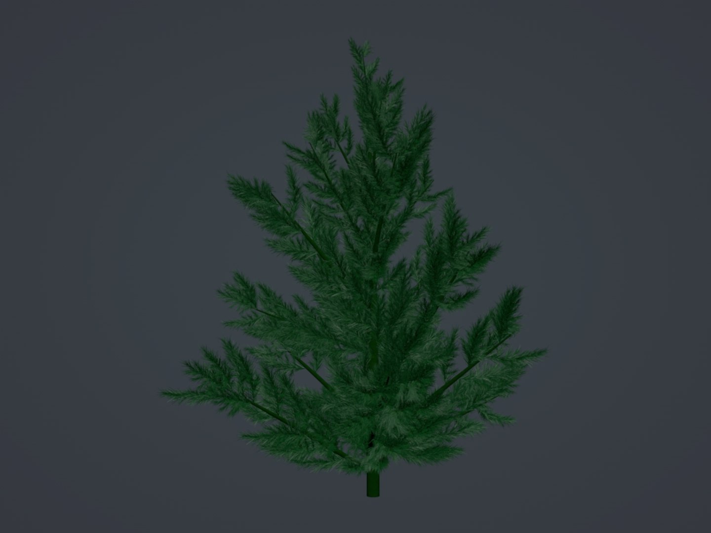 Xmas Tree 3d Model