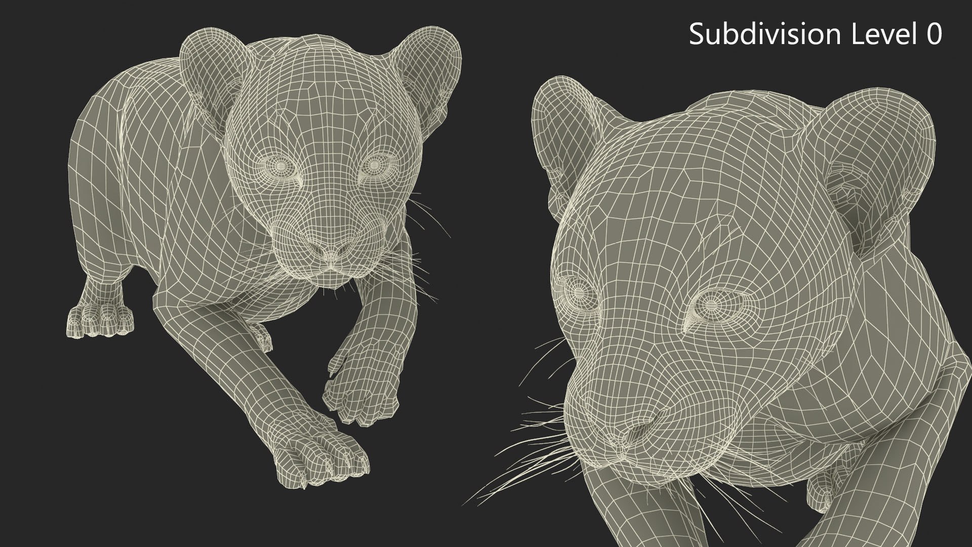 Puma Cub Sneaking Pose 3D Model - TurboSquid 2351843