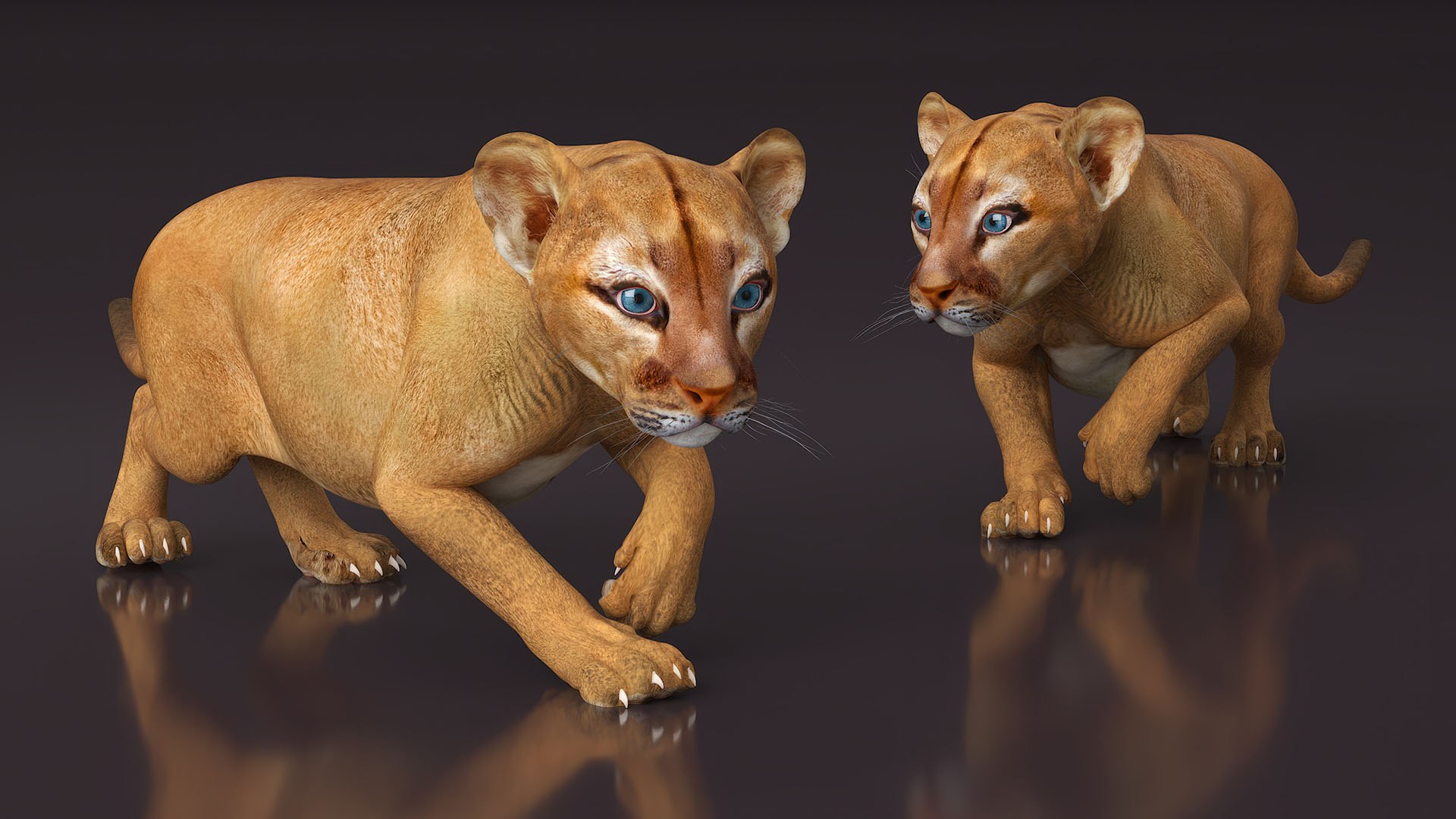 Puma Cub Sneaking Pose 3D Model - TurboSquid 2351843