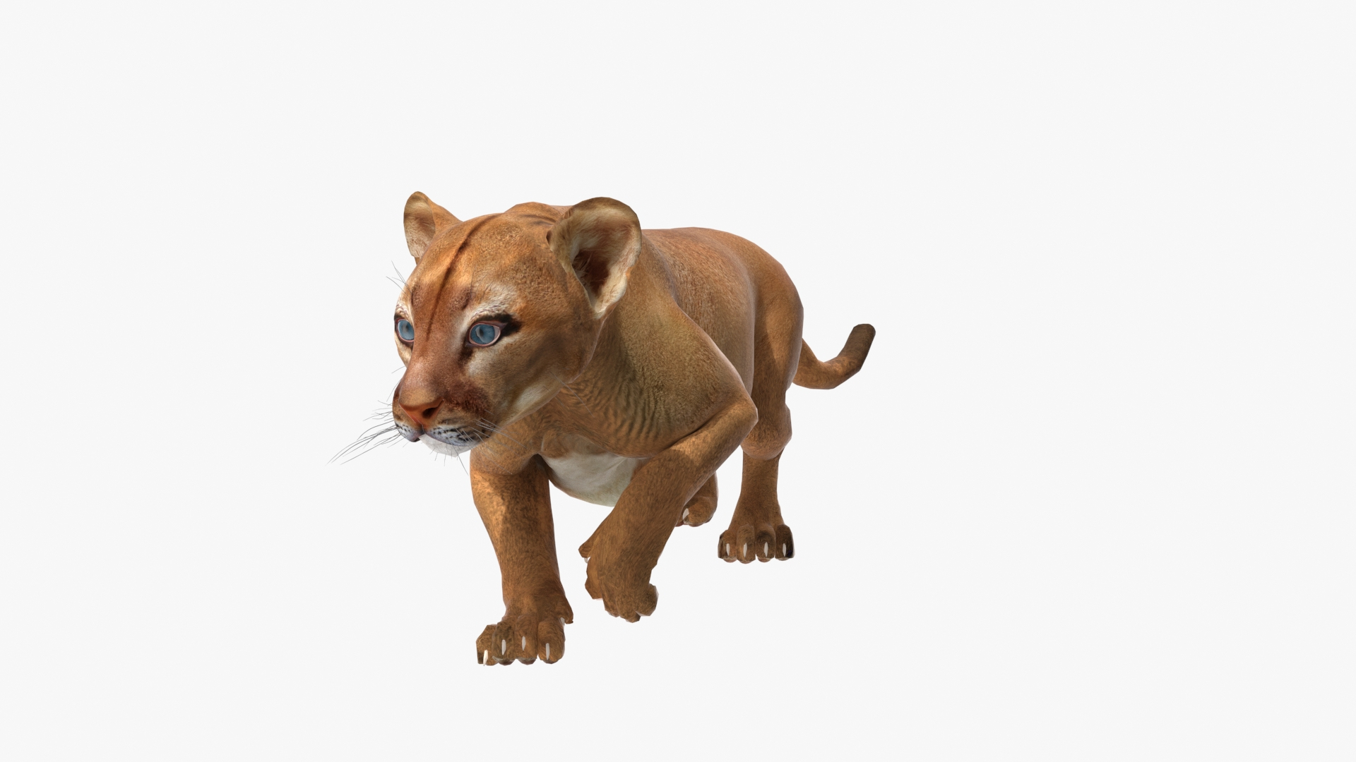 Puma Cub Sneaking Pose 3D Model - TurboSquid 2351843