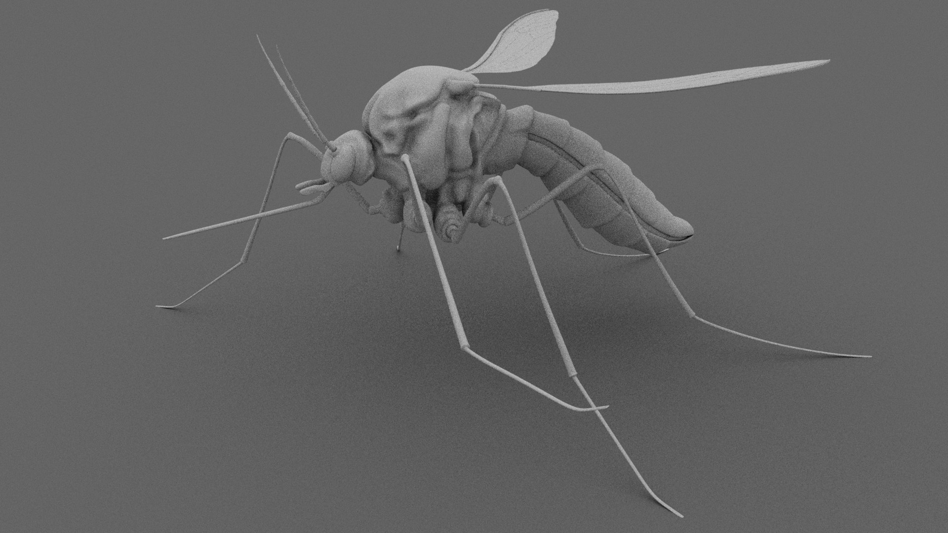 Mosquito Model - TurboSquid 1468089