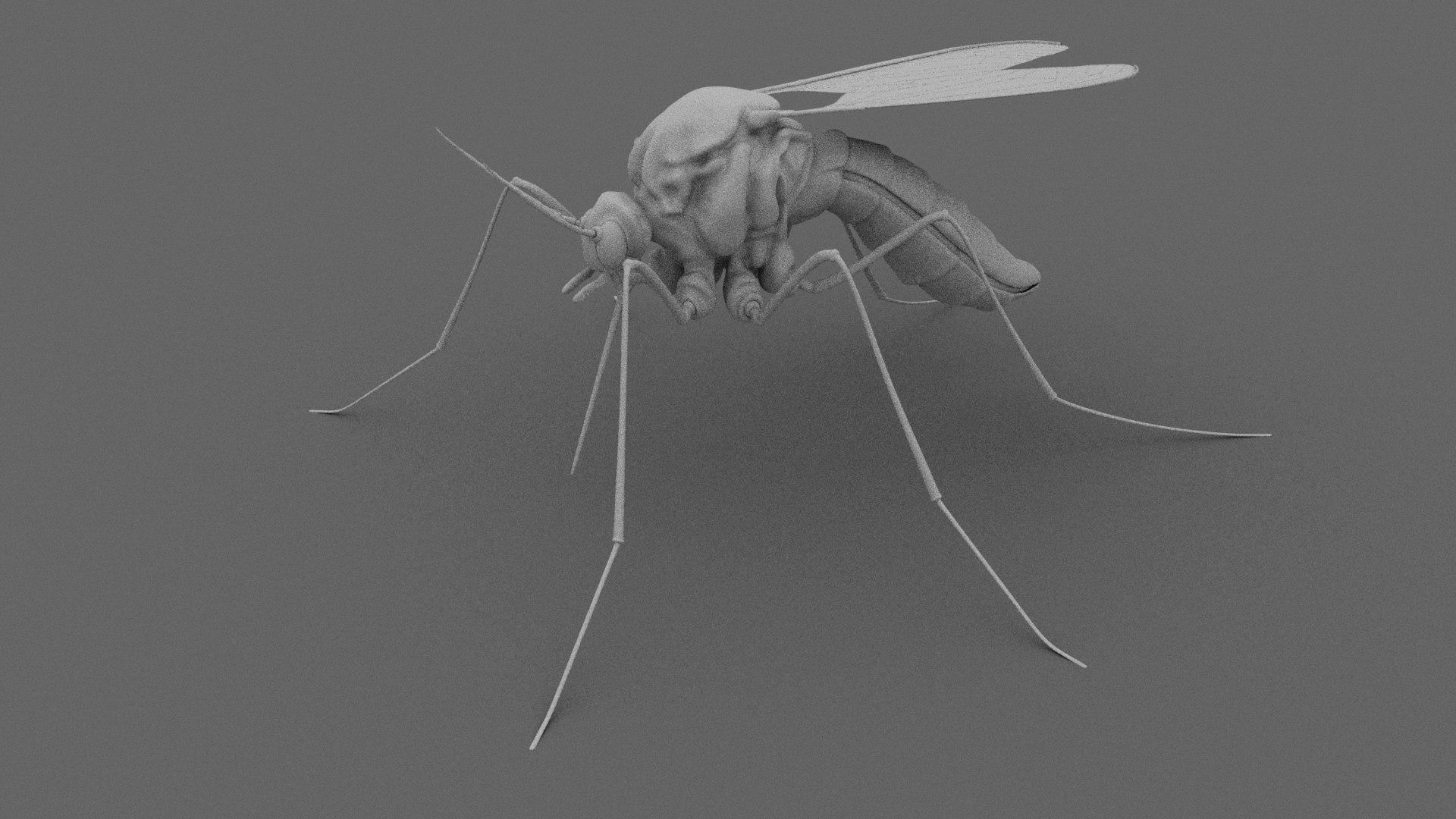 Mosquito Model - TurboSquid 1468089
