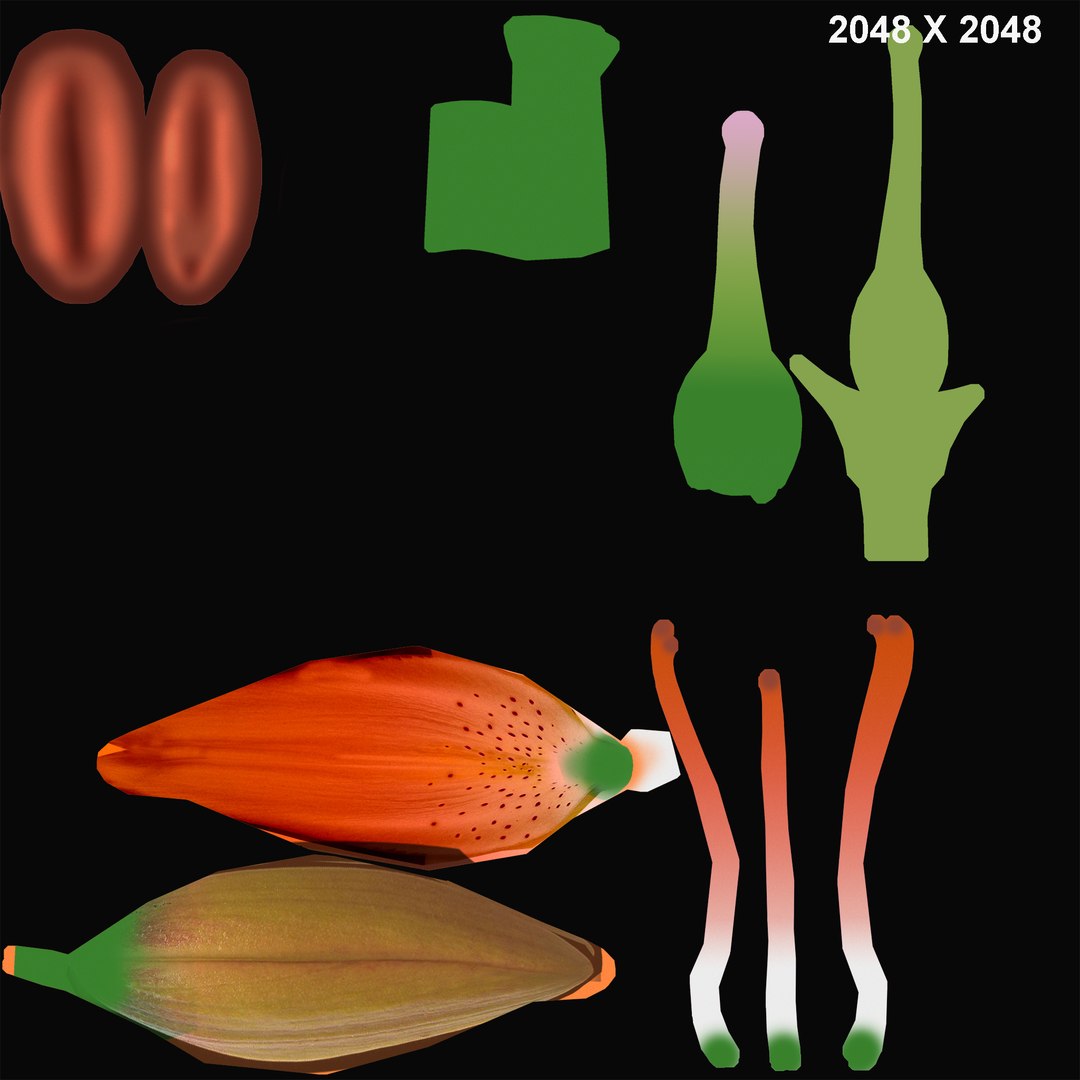 3d double flowering model