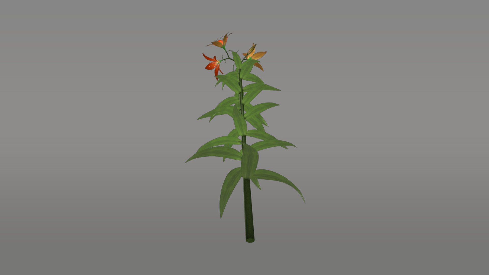 3d double flowering model
