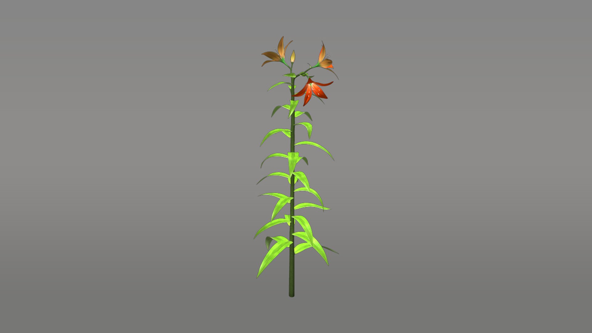 3d double flowering model