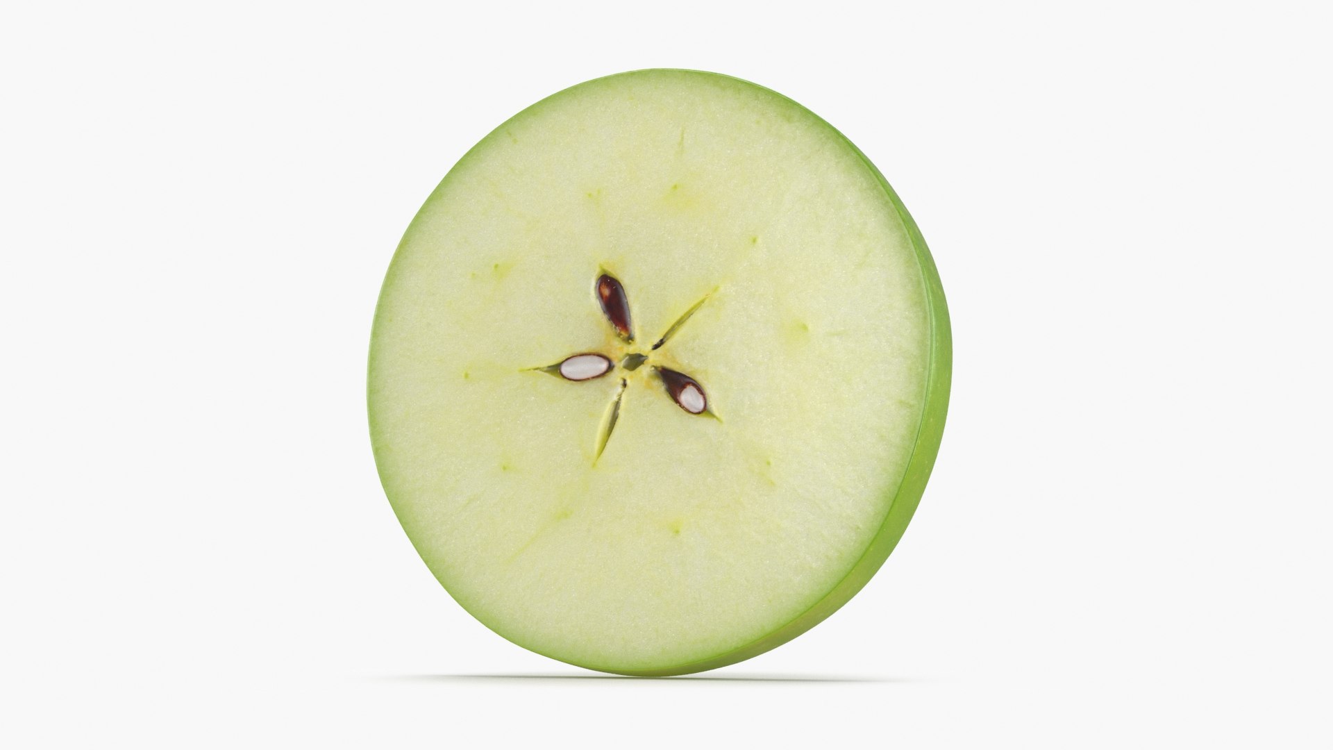Green Apple Slice Round 3D Model - TurboSquid 2084343