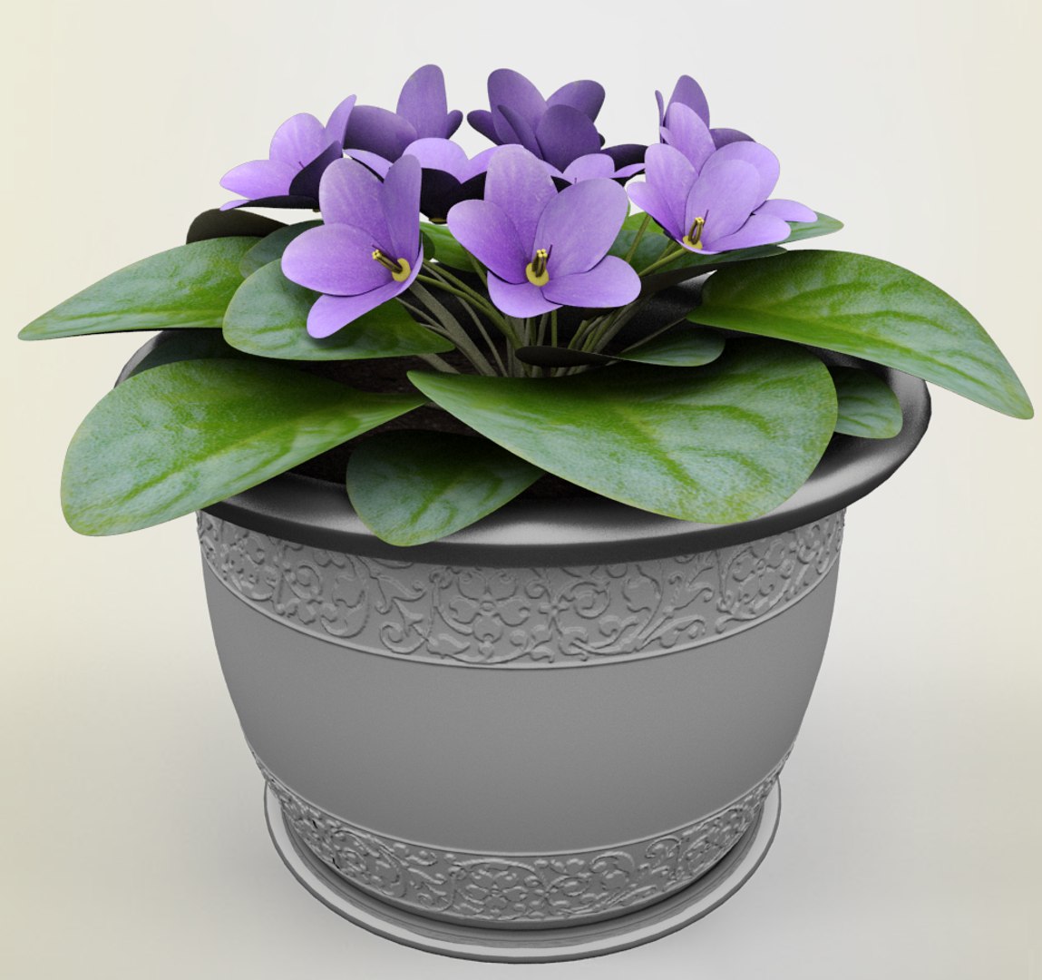 Max Flower