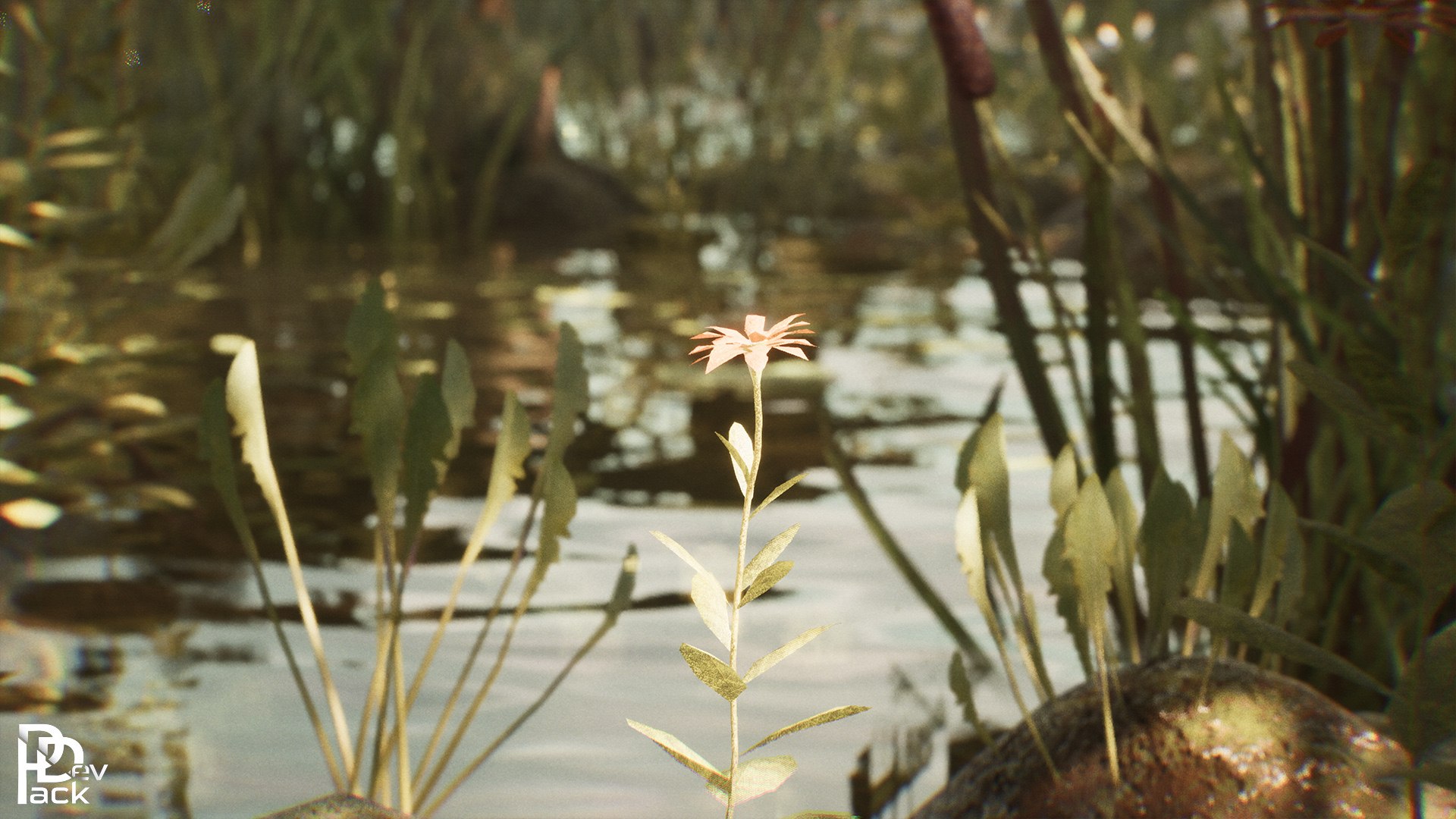 Swamp Environment 42 Assets 3D Model - TurboSquid 2194022