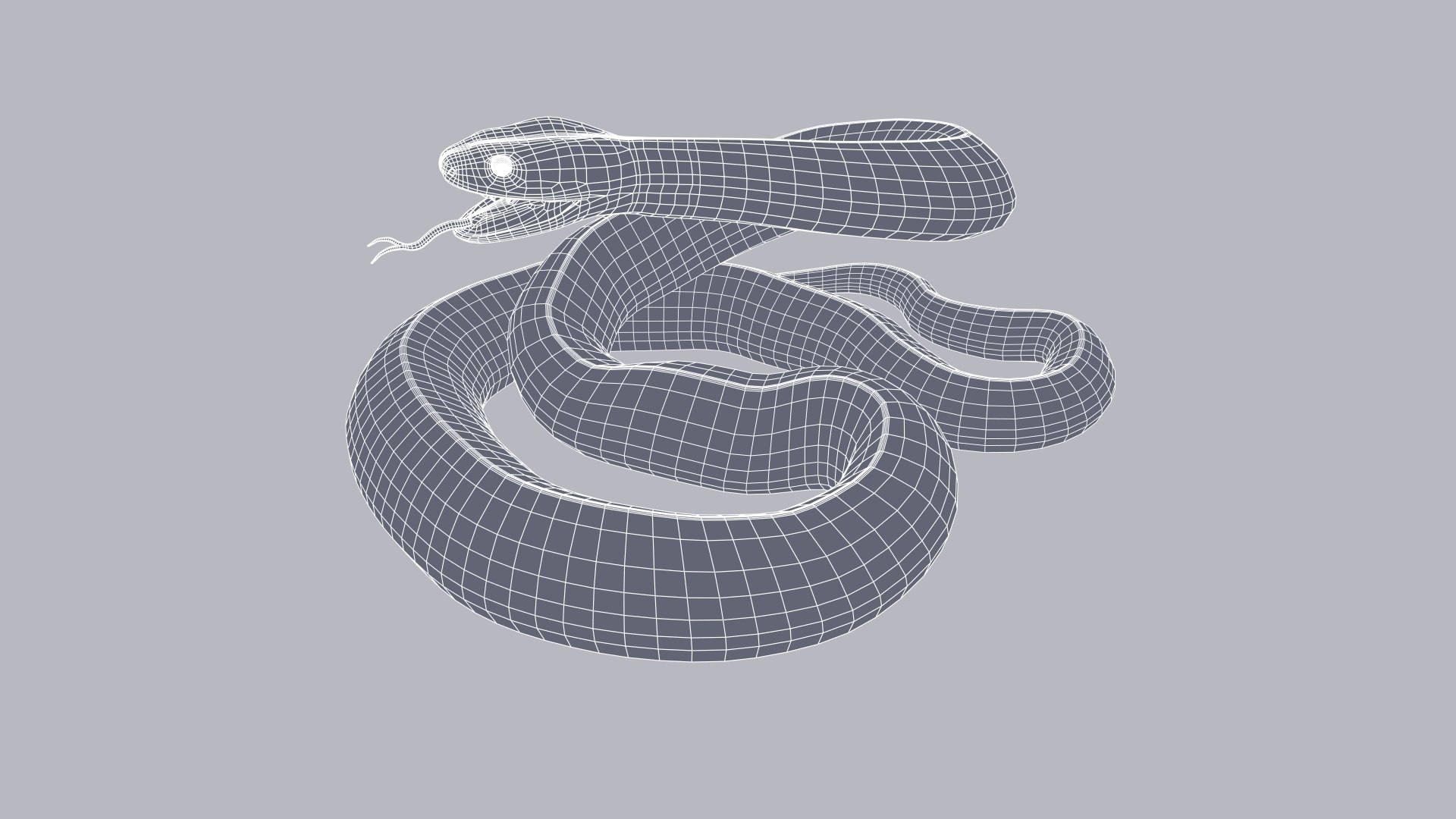 3D Tiger Snake - Static Poses - TurboSquid 2020578