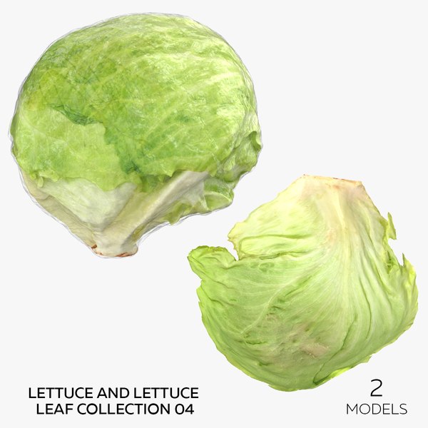 Lettuce 3D Models for Download | TurboSquid