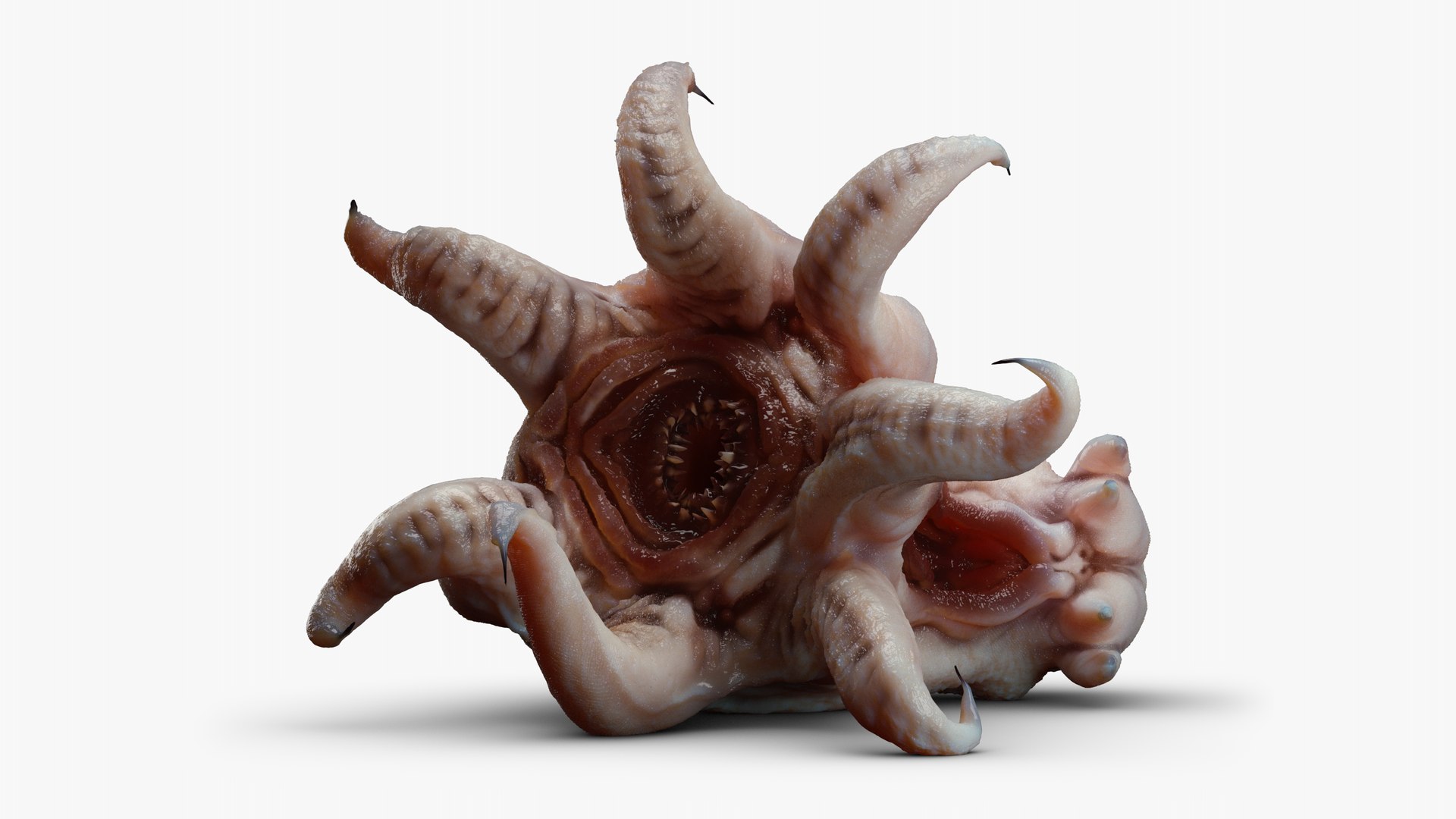 3D Alien Parasite - TurboSquid 1895467