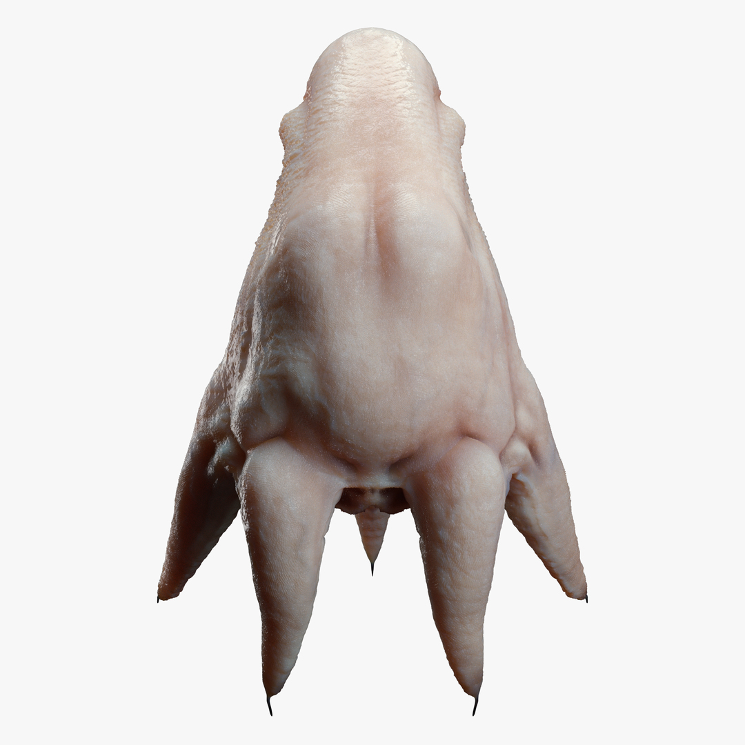 3D Alien Parasite - TurboSquid 1895467