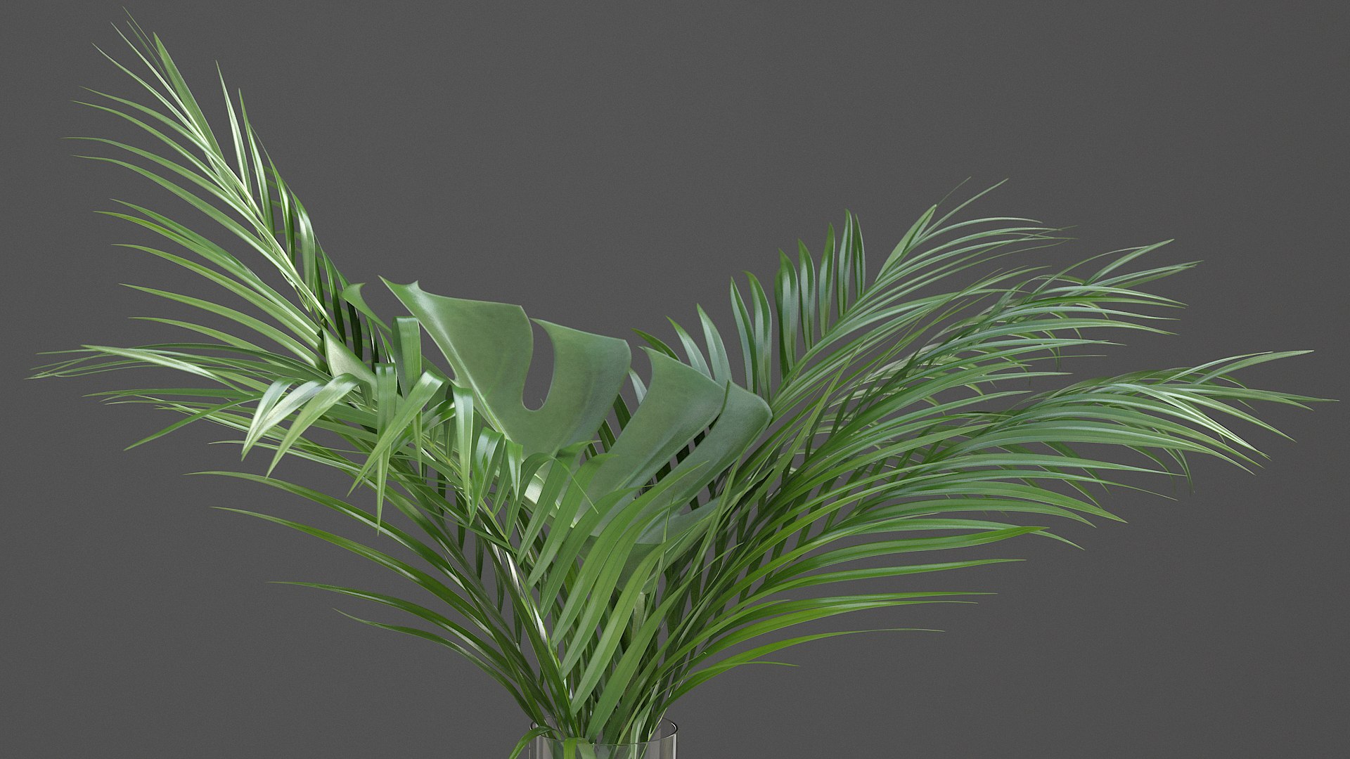 Palm 3D Model - TurboSquid 1542285