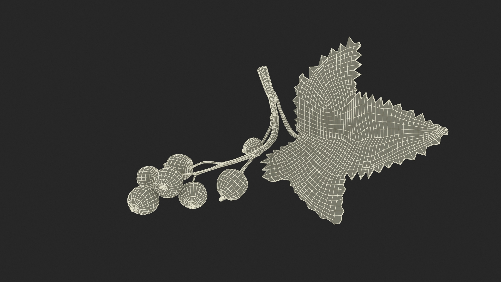 3D Berry Branches Collection 2 model - TurboSquid 2062476