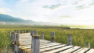 Rice Field 3D Models for Download | TurboSquid