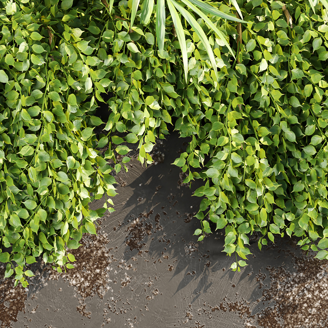 plants collection vol 220 Modelo 3D - TurboSquid 2083319