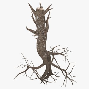 3D Tree Root Models - Browse & Download Formats - TurboSquid