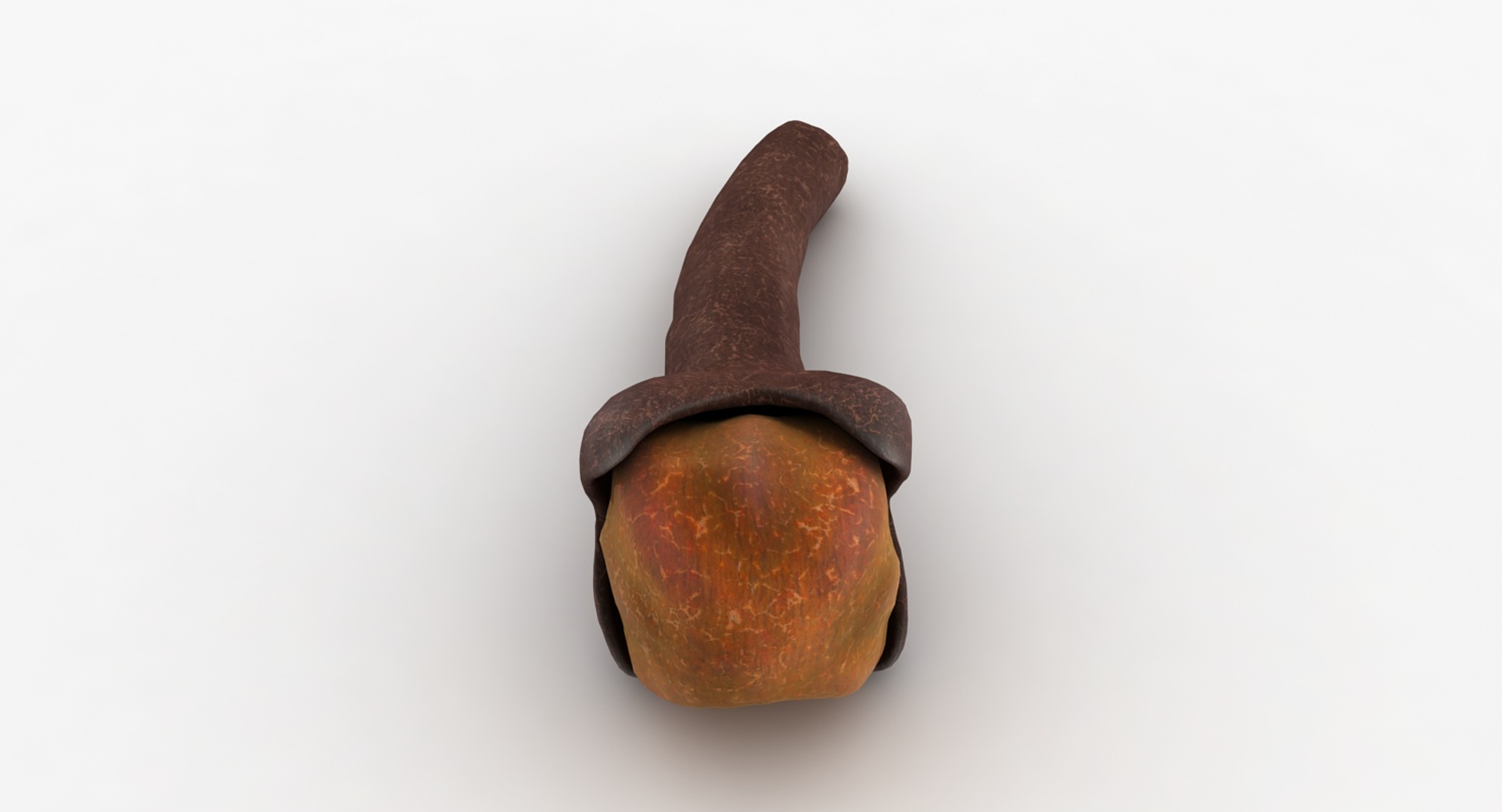 Turmeric Ginger Clove and Cinnamon 3D model - TurboSquid 2154302