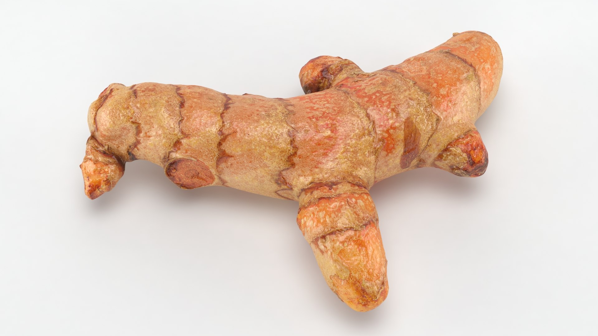 Turmeric Ginger Clove and Cinnamon 3D model - TurboSquid 2154302