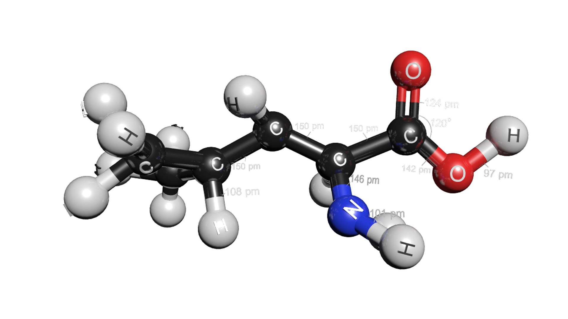 C6h13no2 Molecule Leucine 3D Model - TurboSquid 1424856