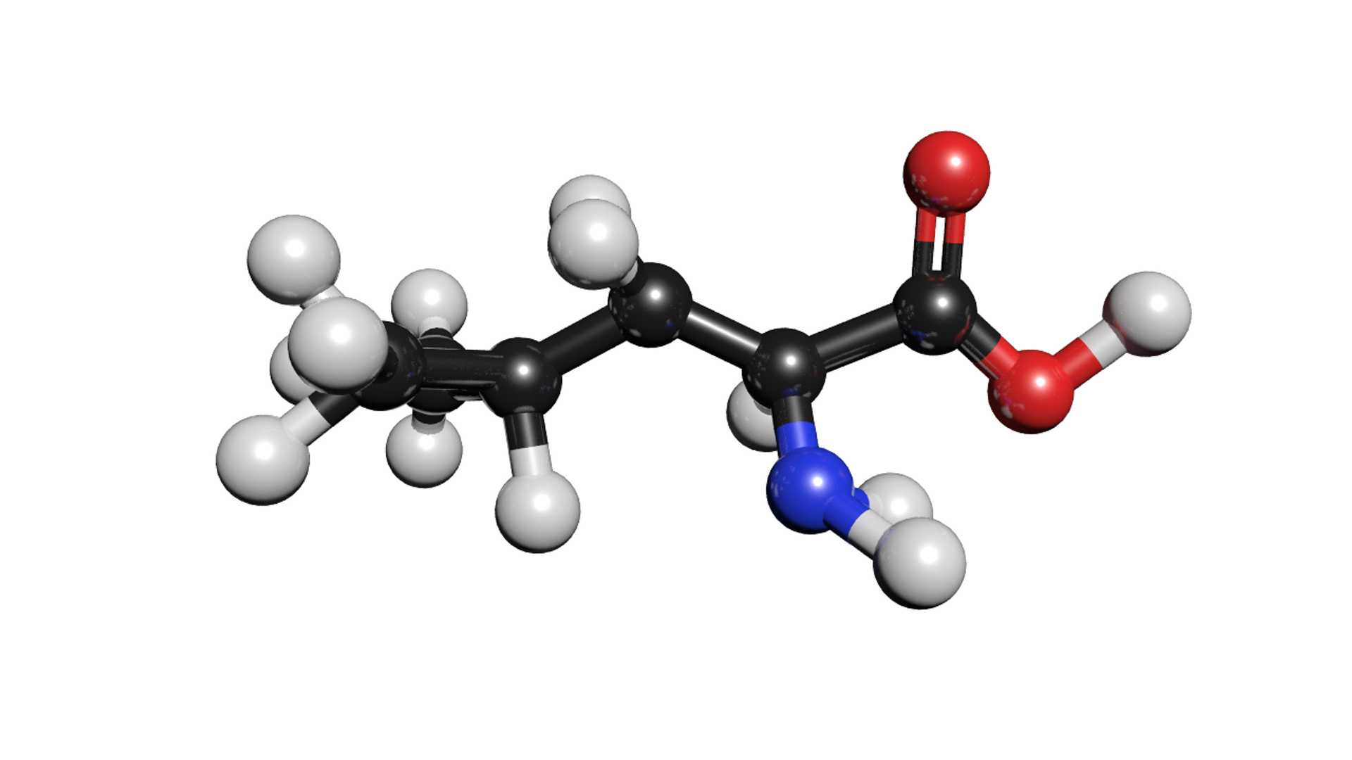 C6h13no2 Molecule Leucine 3D Model - TurboSquid 1424856