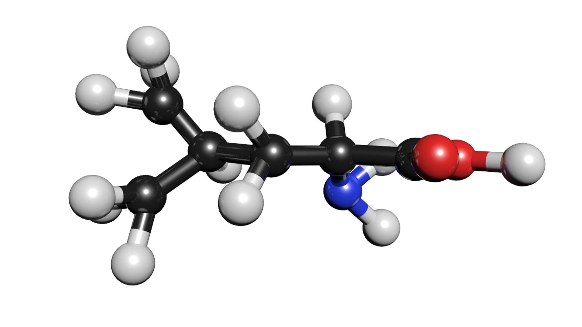 C6h13no2 Molecule Leucine 3D Model - TurboSquid 1424856