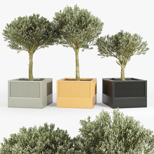 3D model tree - TurboSquid 1653372