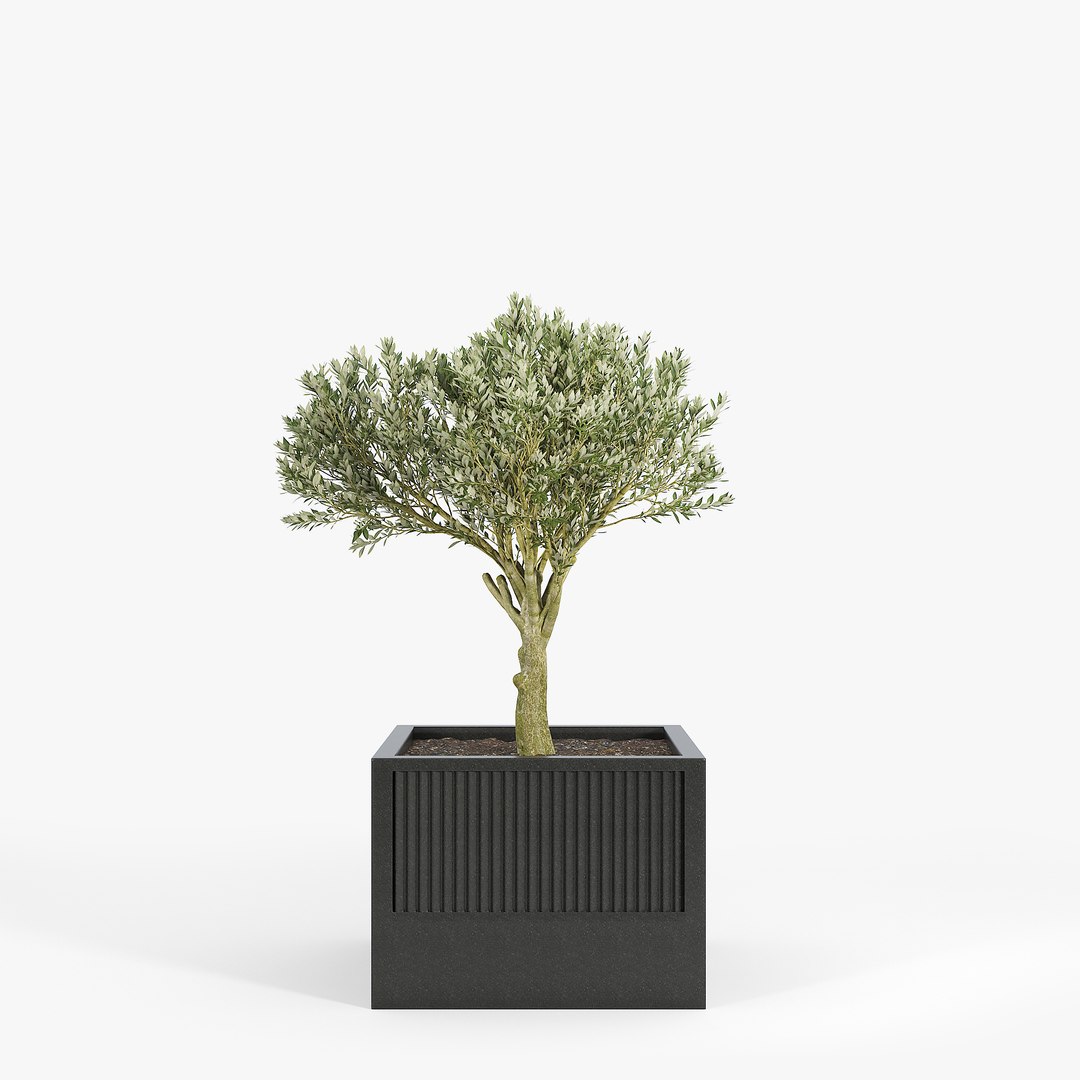 3D Model Tree - TurboSquid 1653372