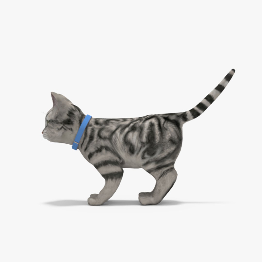Cat 3d Model